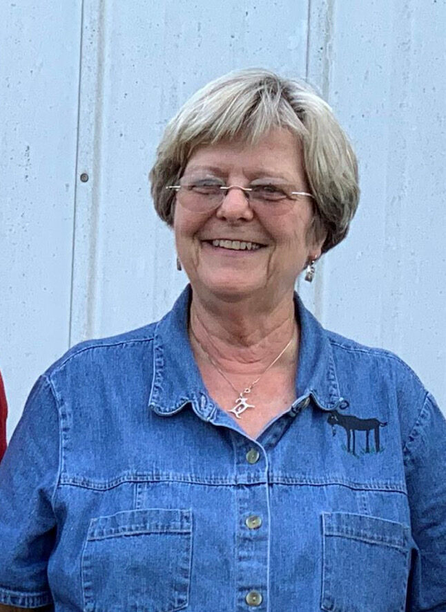 Meet Our Team - ILPA