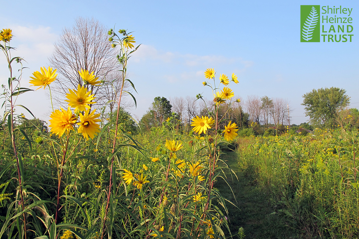 13 Top Indiana Hikes to Enjoy This Summer - ILPA
