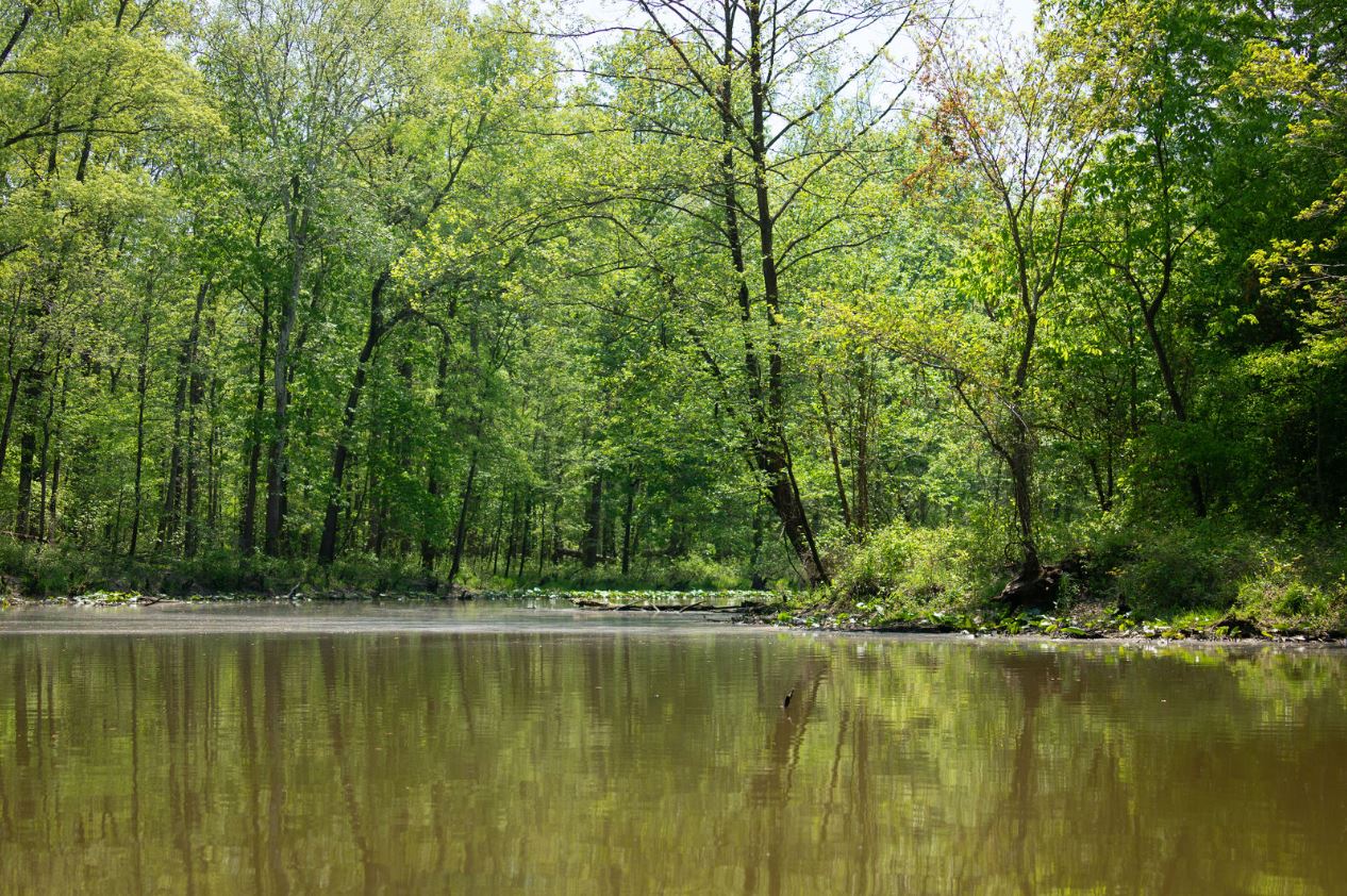 Expansion of Protected Land a Rare Opportunity - ILPA