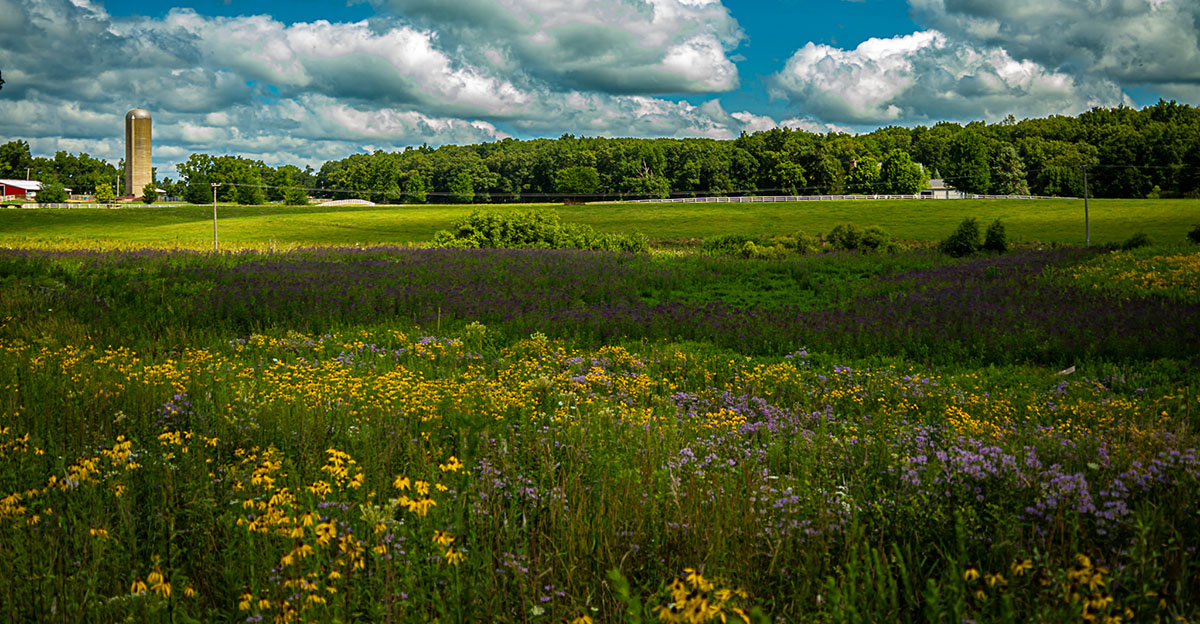 Indiana Land Protection Alliance Receives Lilly Endowment Investment - ILPA